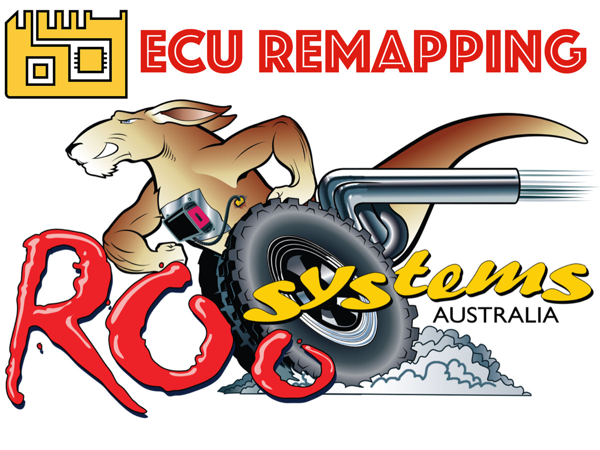 RSA Tune 1 Year Warranty – Roo Systems Australia